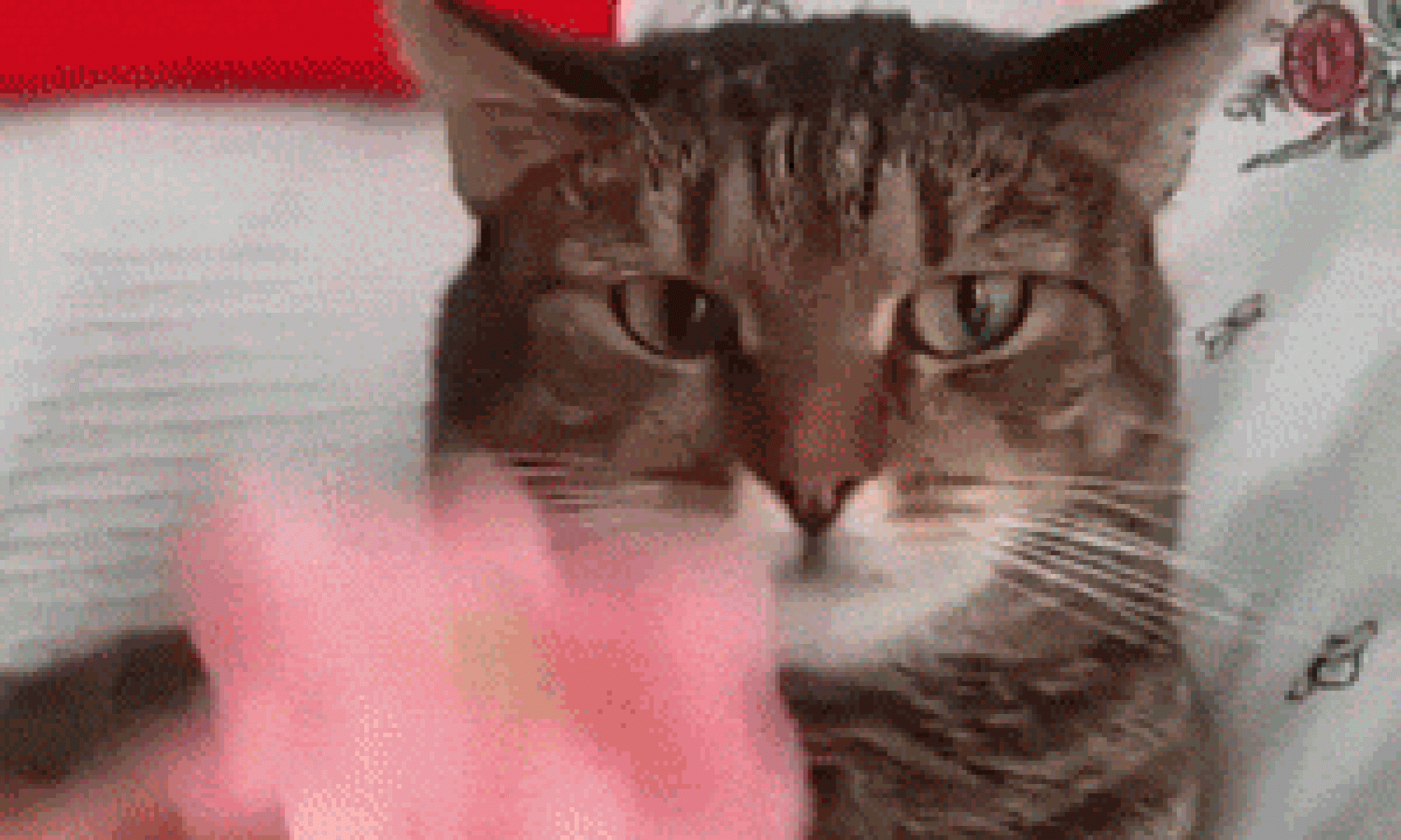 cropped-cat-trip.gif — Internet Chronicle