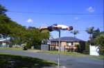 Planking meme turns deadly! — Internet Chronicle